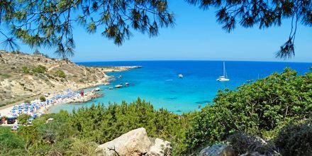 Kypros | Bestill reise til Kypros her | Apollo Reiser | Apollo